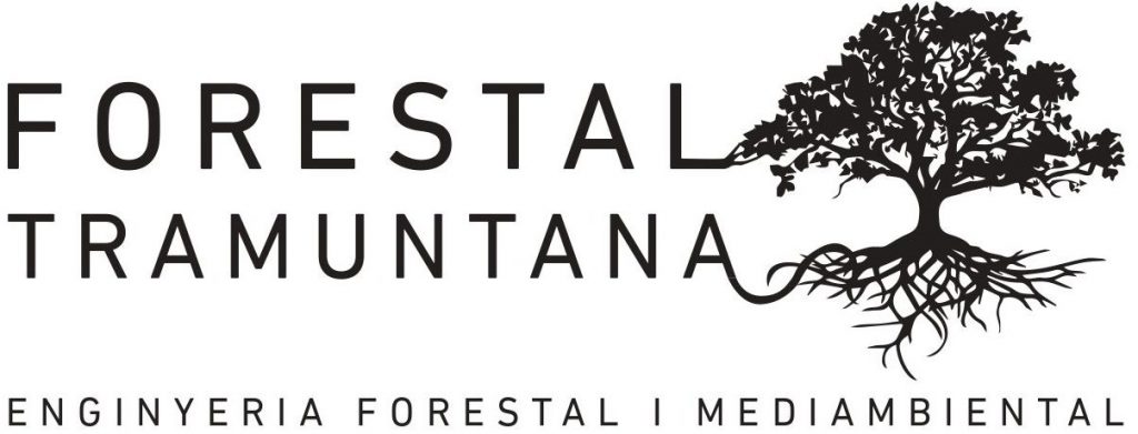 Planificación forestal